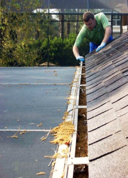 Tips for Your Gutter Cleaning Summer Project